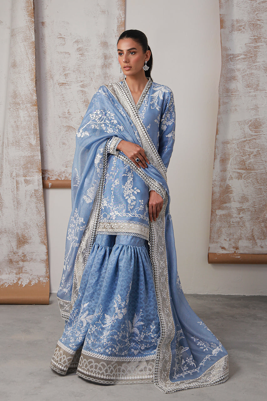 Mystic Allure – Nida Azwer Atelier